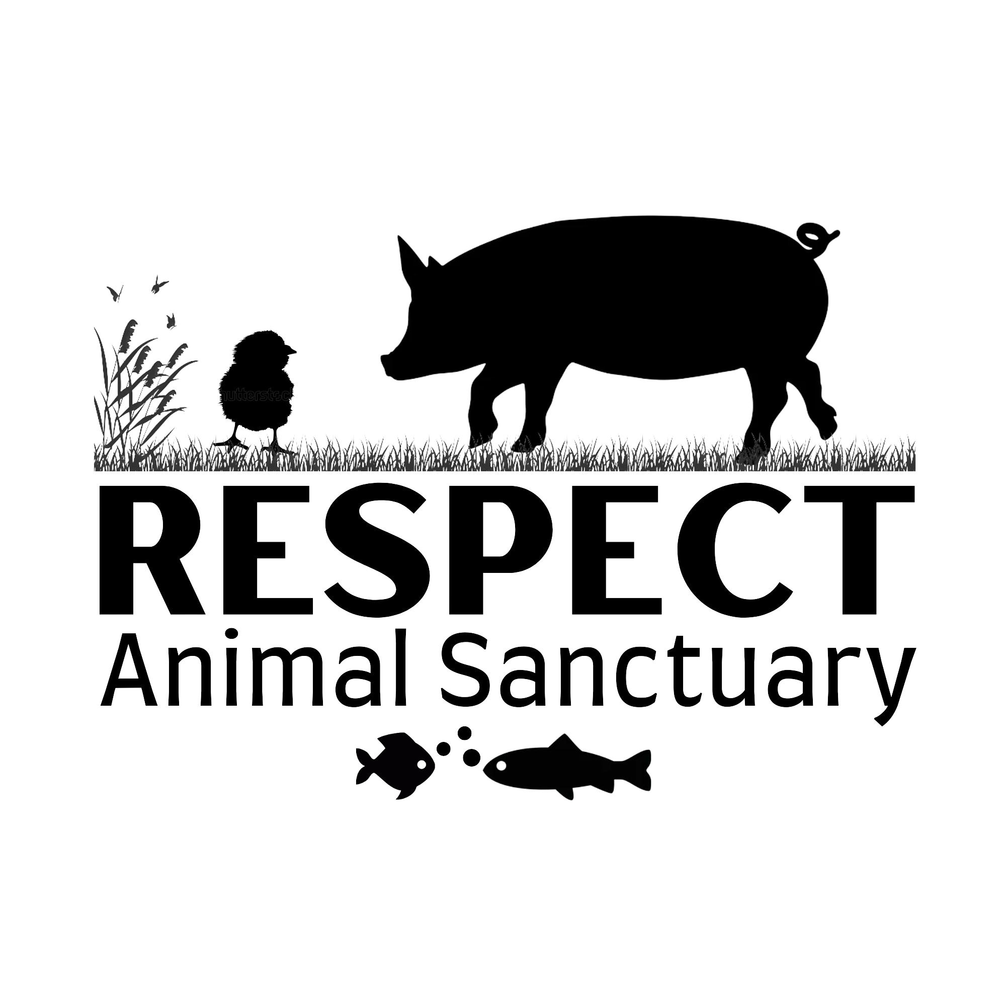 Respect Animal Sanctuary – Creating a more respectful world through ...